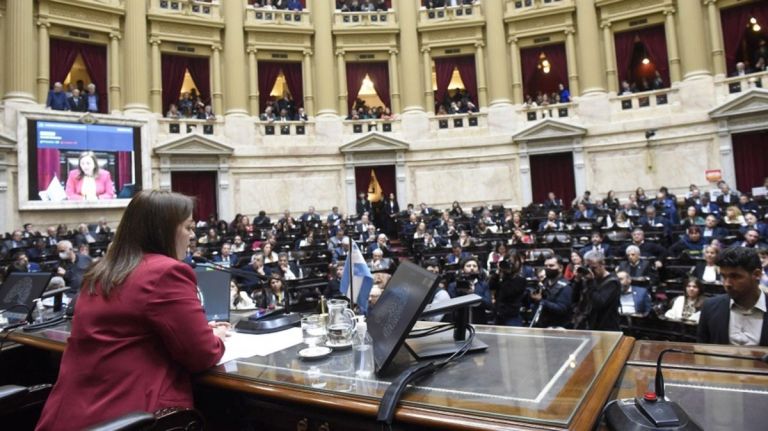 La Cámara De Diputados Sesionará Hoy Para Repudiar El Ataque A Cfk
