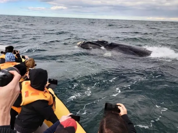 Las pymes y el turismo en época de vacas flacas | NoticiasNet - Informacion de Rio Negro ...