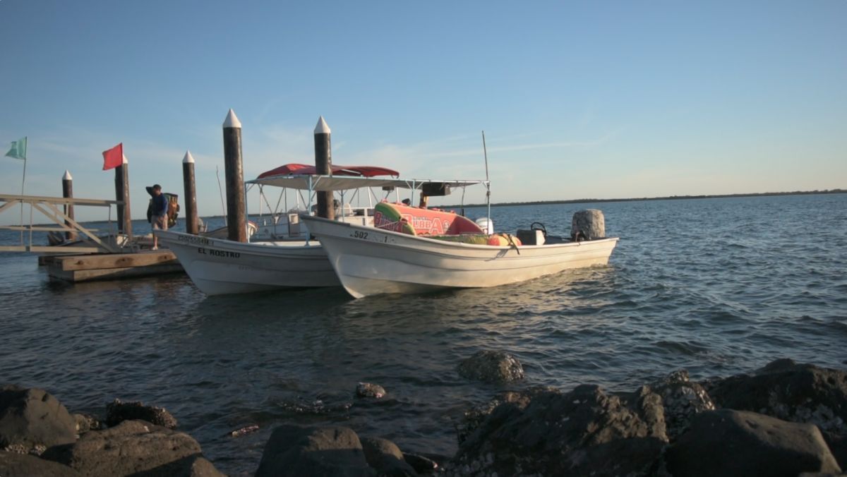 Maravillosos paseos para disfrutar en la bahía de Altata | Tus Buenas ...